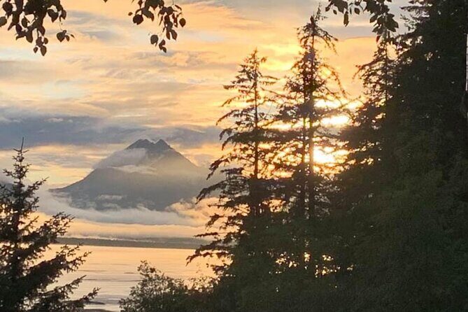 Alaska Nature Immersion: Forest Therapy Tour in Haines, Alaska - FAQs