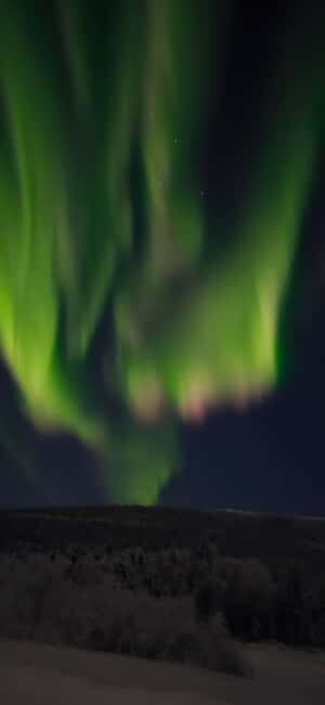 Alaska: Private Northern Lights Viewing Tour - Key Points