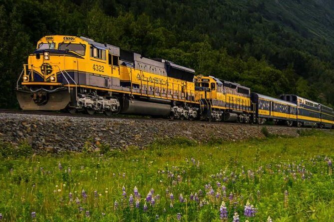 Alaska Railroad Anchorage to Denali One Way - FAQ