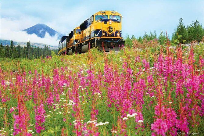 Alaska Railroad Anchorage to Seward Round-Trip Same Day Return - The Experience: Why It Works