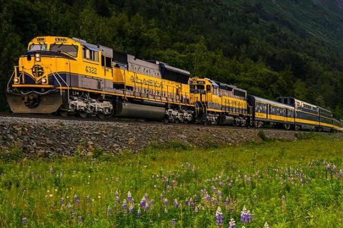 Alaska Railroad Anchorage to Seward Round-Trip Same Day Return - Detailed Breakdown of the Tour Experience