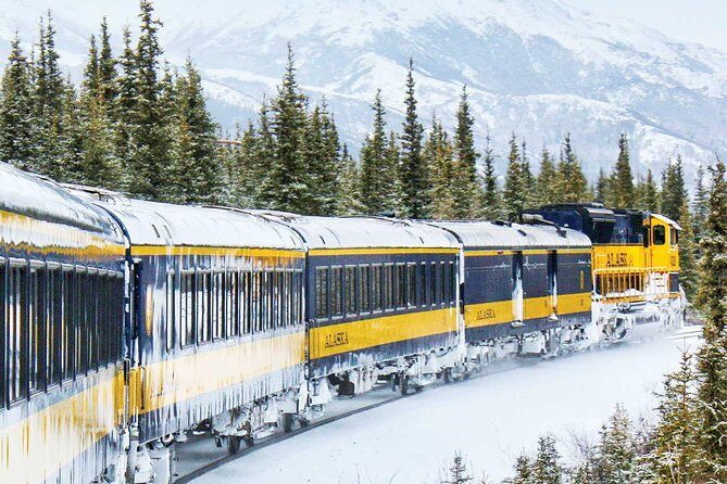 Alaska Railroad Aurora Winter Anchorage to Fairbanks One Way - The Experience: What to Expect on Your Journey