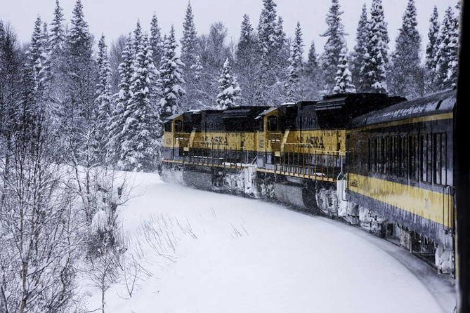 Alaska Railroad Aurora Winter Fairbanks to Anchorage One Way - The Verdict: Who Should Take This Trip?