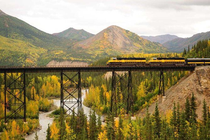 Alaska Railroad Denali to Anchorage One Way - An In-Depth Look at the Scenic Railroad Experience
