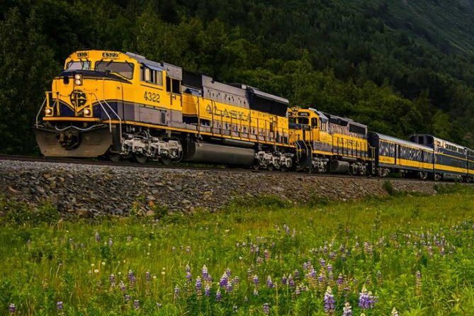 Alaska Railroad Denali to Anchorage One Way - The Sum Up