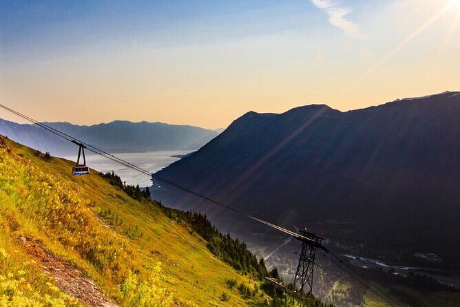 Alaska Wildlife Center and Turnagain Arm Tour w/Alyeska Tram - Practical Details and Value