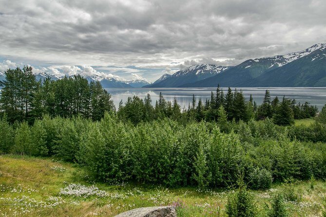 Alaska Wildlife Day Tour with Free Hotel Pickup - Practical Tips for Your Trip