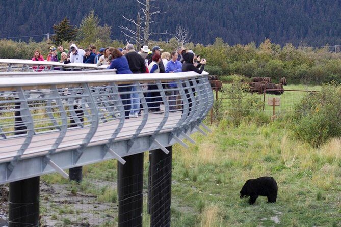 Alaska Wildlife Day Tour with Free Hotel Pickup - FAQs