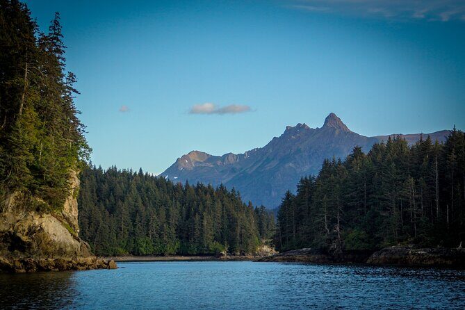 Alaska Wildlife Tour in Kachemak Bay - FAQs