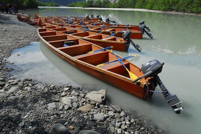 Alaska Wildlife Voyageur Canoe Safari from Haines - FAQ