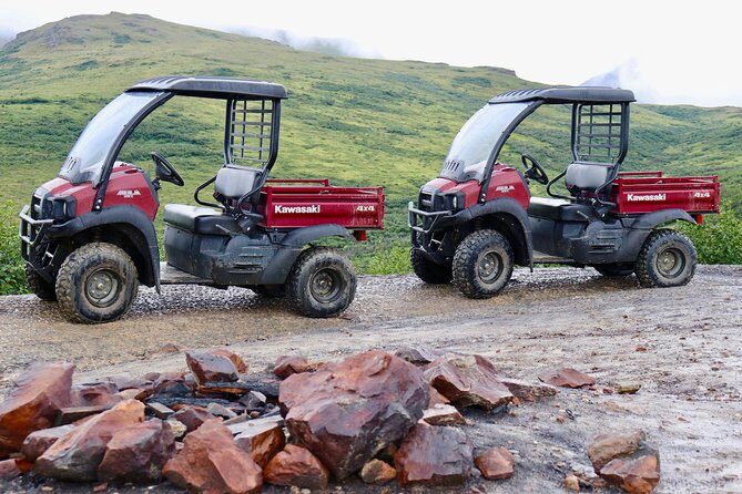Alaskan Back Country Side by Side ATV Adventure with Meal - What to Expect on Your Denali ATV Adventure