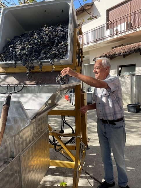 Alba: Barolo & Barbaresco Wine Tour - Exploring Barbaresco: Elegance in Every Drop