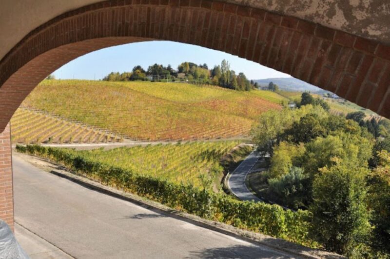 Alba: E-Bike Tour with wine tastin in cellar - Scenic Highlights and Photo Opportunities