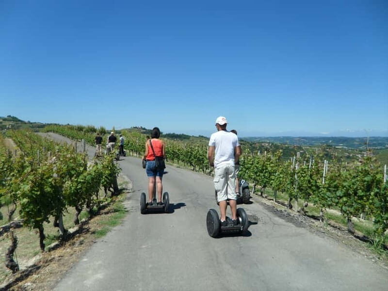 Alba: Guided Segway Tour through Langhe Hills and Vineyards - Key Points
