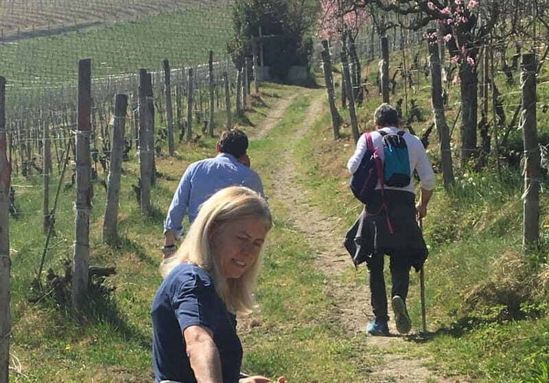 Alba: Wine Tasting and Tour with a Local Producer - What Makes This Tour Unique