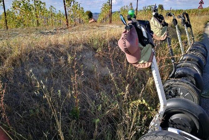 Albahills Segway Tour - Practical Information and Considerations