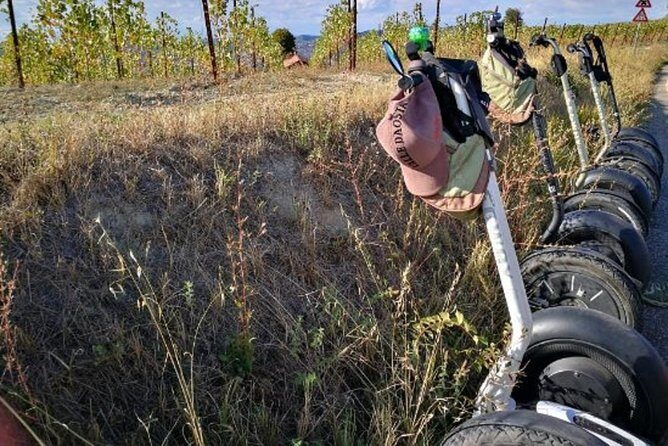Albahills Segway Tour & Wine Tasting - Introduction