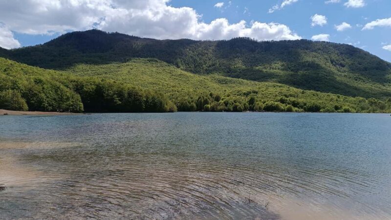 Albania: Culture in AI Development: Art Residency Project - Artistic and Cultural Significance