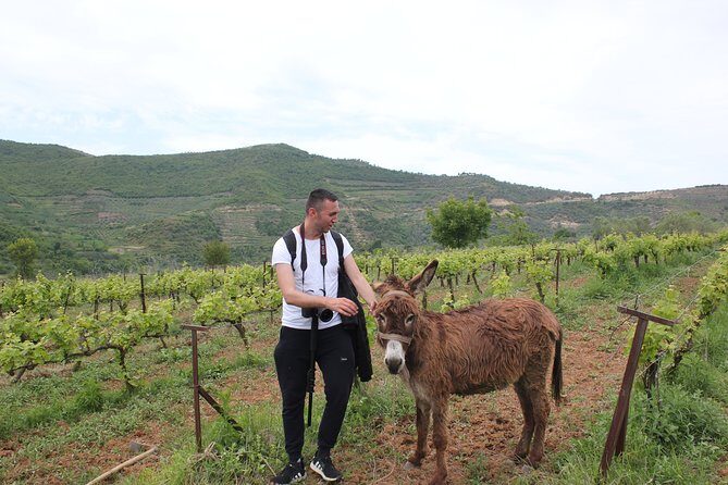 Albanian Highlights - UNESCO sites ,Nature and Food tour - Key Points