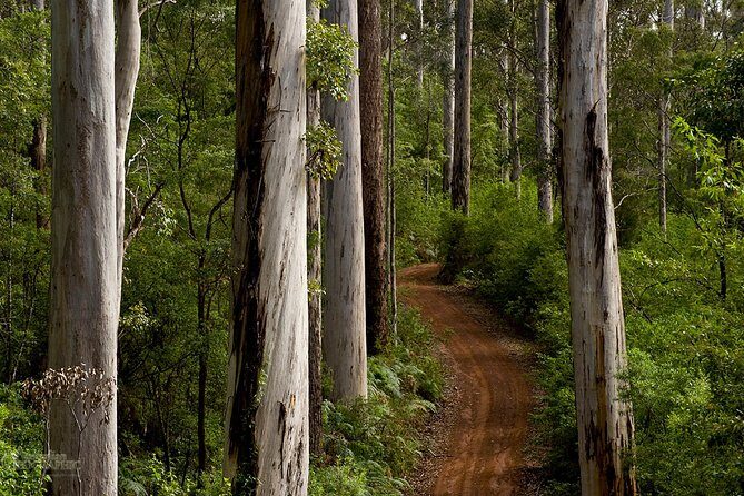Albany Southwest Wilderness Day Tour - Fly From Perth - FAQs