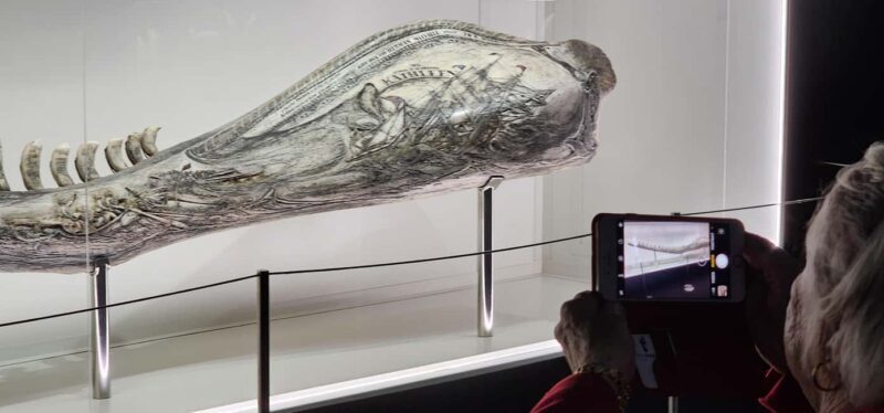 Albany's Whale Story - Final Thoughts