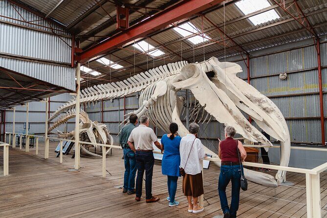 Albany's Whale Story - Practicalities and Experience Details
