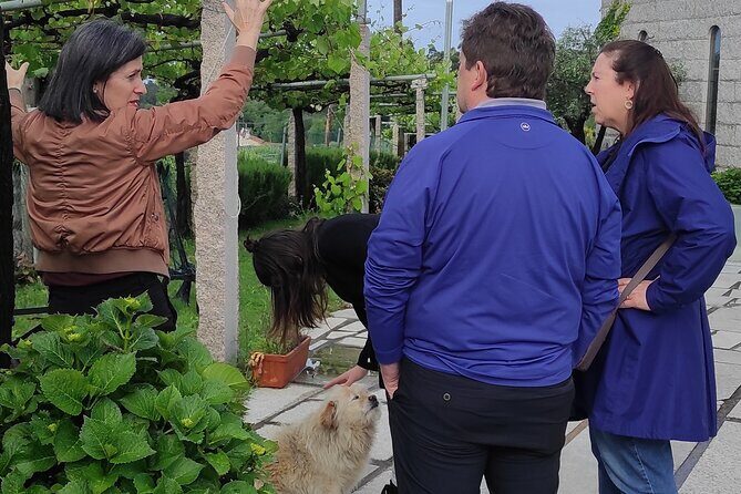 Albariño Private Sailing Wine Tour in Rias Baixas - Authentic Testimonials