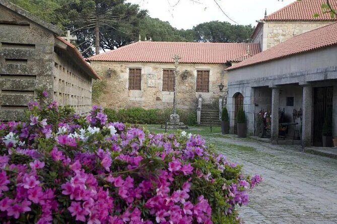 Albariño Private Sailing Wine Tour in Rias Baixas - Who Should Consider This Tour?