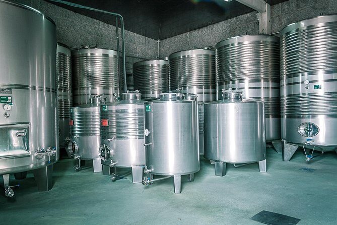 Albariño Private Wine Tour from Santiago de Compostela - Who Should Consider This Tour?