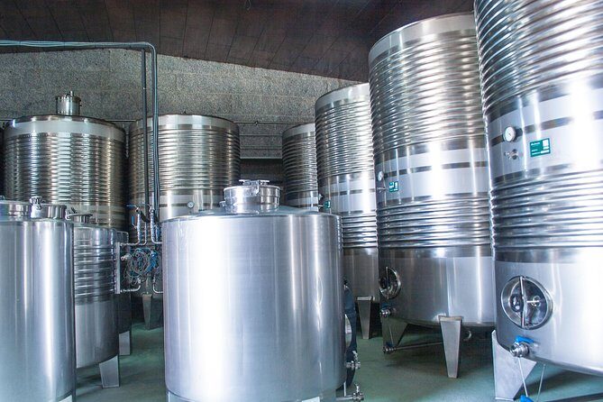 Albariño trails Private Wine Tour/Shore excursion from Vigo - FAQ: Your Questions About the Albariño Trails Private Tour
