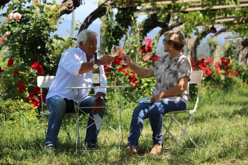 Albariño Wine Tasting with Winery Tour - Albariño Wine Tasting with Winery Tour in Galicia, Spain