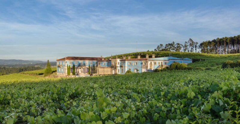 Albariño Wine Tasting with Winery Tour - Why the Tour Excels