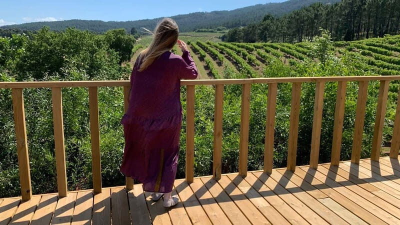 Albariño Wine Tour: Taste, Learn & Take Home a Special Gift - Key Points