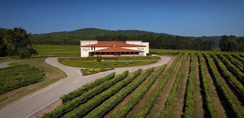 Albariño Wine Tour: Taste, Learn & Take Home a Special Gift - The Itinerary: A Closer Look