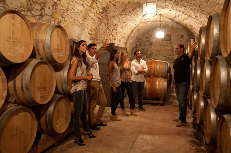 Albariño Wine Tour: Taste, Learn & Take Home a Special Gift - Who Will Love This Experience