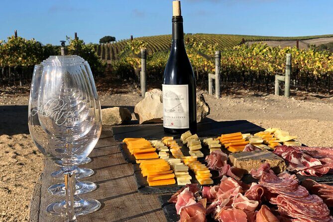 Albatross Ridge Vineyards Electric Bike Tour & Wine Tasting - The Sum Up