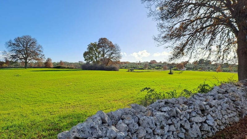 Alberobello: E-Bike Tour to Locorotondo with Ice Cream - Key Points