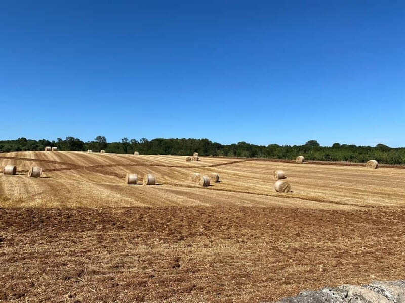 Alberobello: E-Bike Tour to Locorotondo with Ice Cream - Practical Details & Logistics
