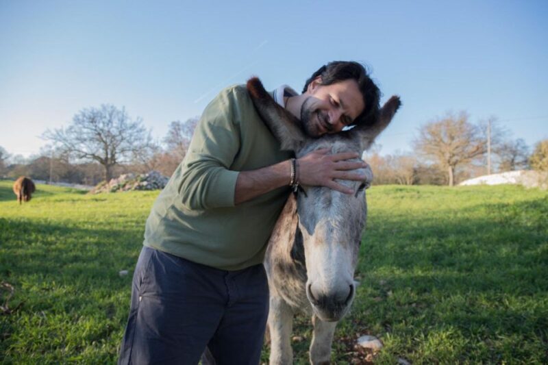 Alberobello e-bike tour, trulli, mill and donkey farm - Final Thoughts: Who Should Sign Up?
