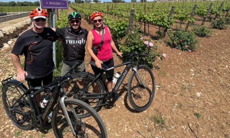 Alberobello: E-Bike Tour with Focaccia and Wine - A Gentle Ride into Puglia’s Countryside