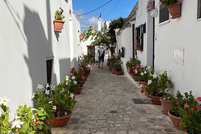 Alberobello & Matera, From Bari with Comfortable Transport - Transport & Logistical Details