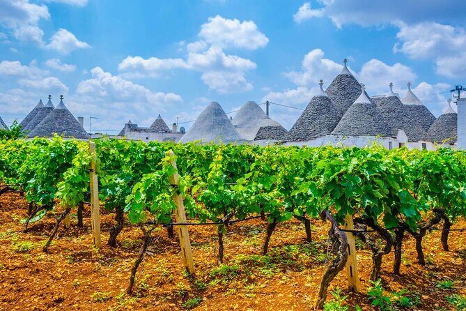 Alberobello Private Tour: Wine, Food, Trulli & Flavors of Puglia - Why This Tour Stands Out