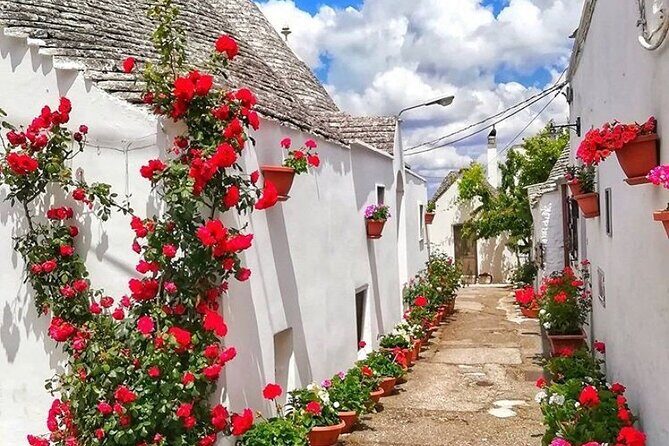 Alberobello Private Tour: Wine, Food, Trulli & Flavors of Puglia - Final Thoughts: Who Will Really Enjoy This?