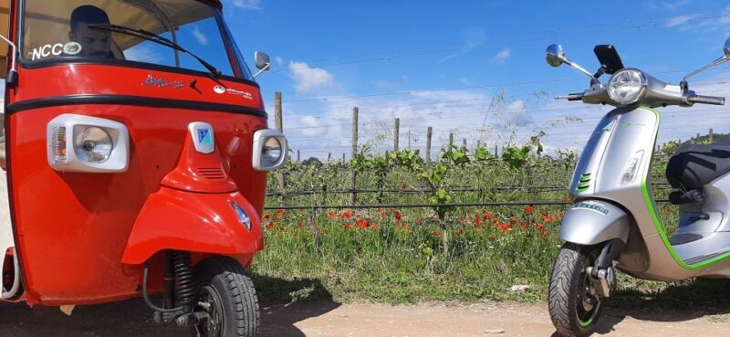 Alberobello: Private Tuk Tuk Tour with Audio Guide - How the Reviews Reflect the Experience