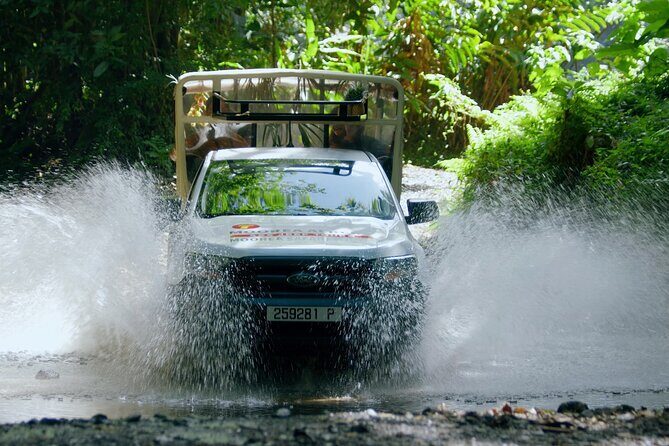 ALBERT TOURS: Excursion 4x4 safari with private SWING view point - Key Points