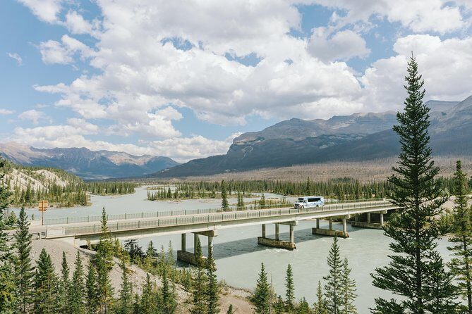 Alberta Transfer: Banff, Jasper, Lake Louise, Calgary - An Honest, Detailed Look at Alberta Transfer