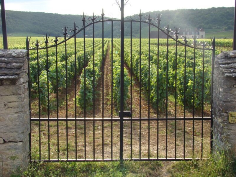 Albi, Cordés-sur-Ciel & Gaillac: Day Trip from Toulouse - Key Points