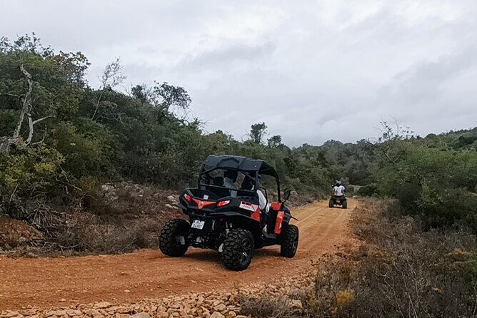 Albufeira 1 hour Off-Road Tour Buggy Adventure Tour - Key Points