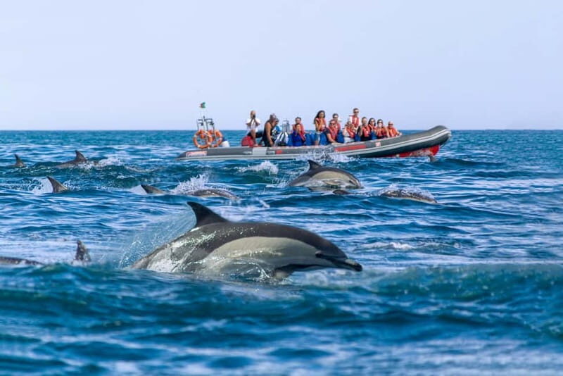 Albufeira: 2.5-Hour Private Dolphin & Benagil Caves tour - A Closer Look at the Experience