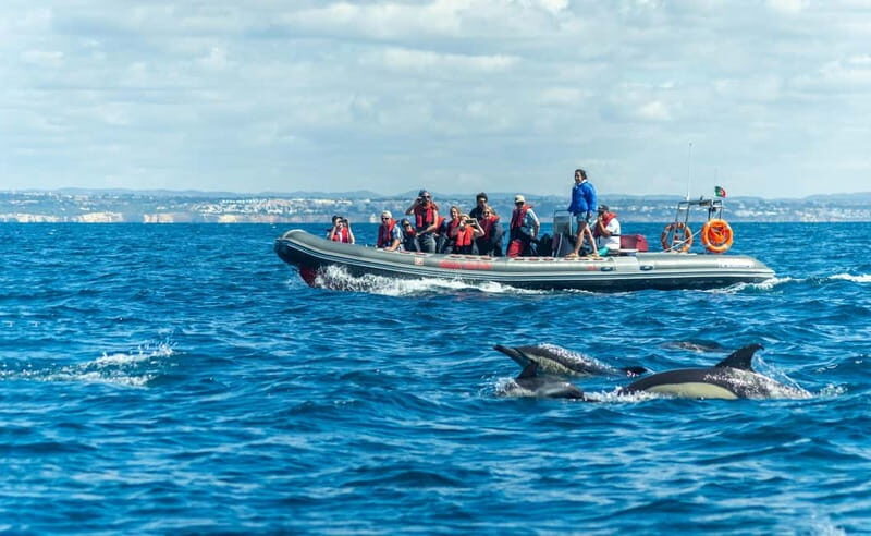 Albufeira: 2.5-Hour Private Dolphin & Benagil Caves tour - The Sum Up